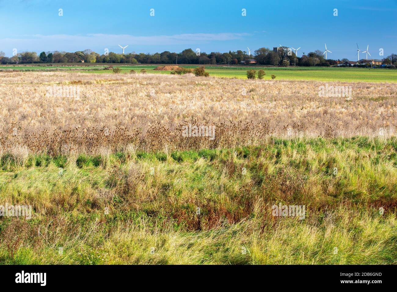 Wildlife friendly setaside habitat with wild flowers providing food for ...
