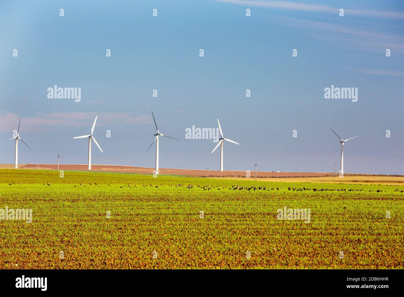 Wind turbines in humber hi-res stock photography and images - Alamy