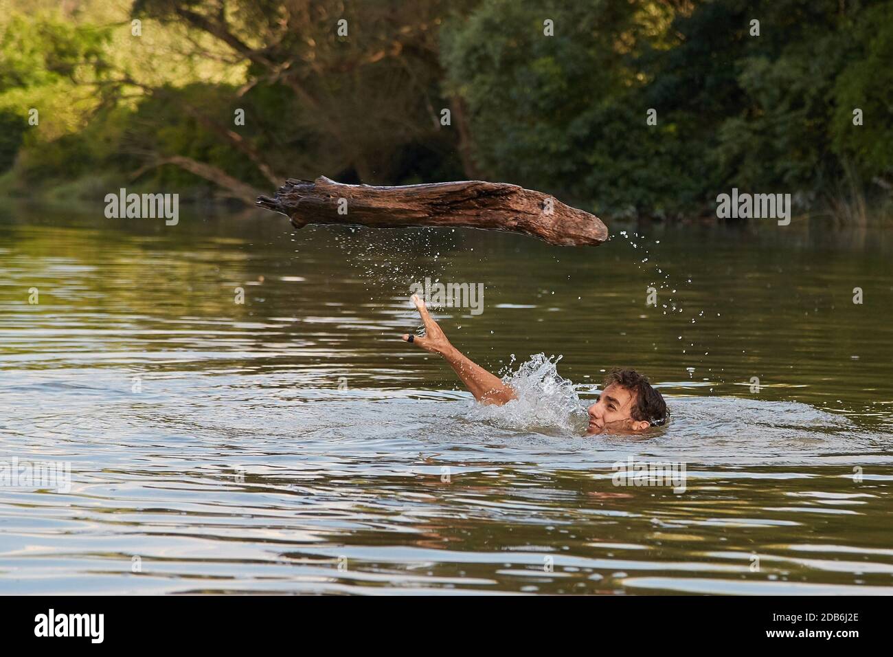 Man swimming in a river throwing a driftwood log Stock Photo - Alamy