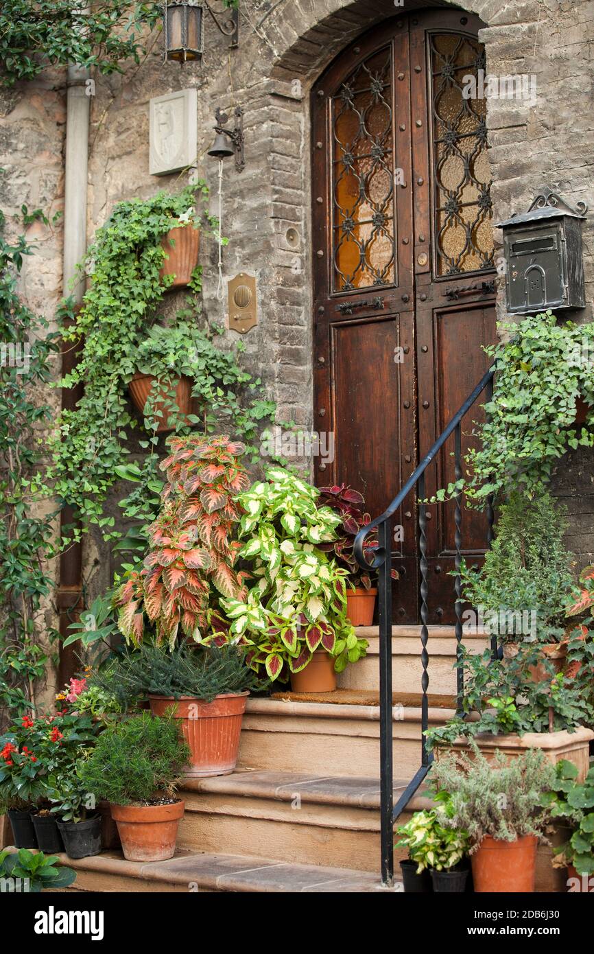 Flowers in pots on the stone steps medieval house in Assisi Stock Photo ...