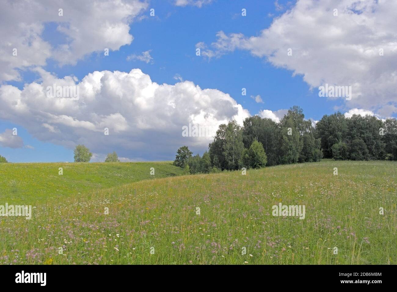Beautiful summer landscape Stock Photo - Alamy