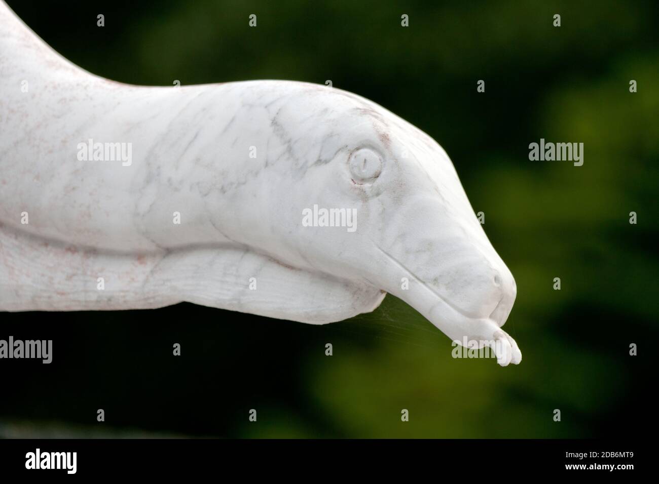 Marble head of snake Stock Photo - Alamy