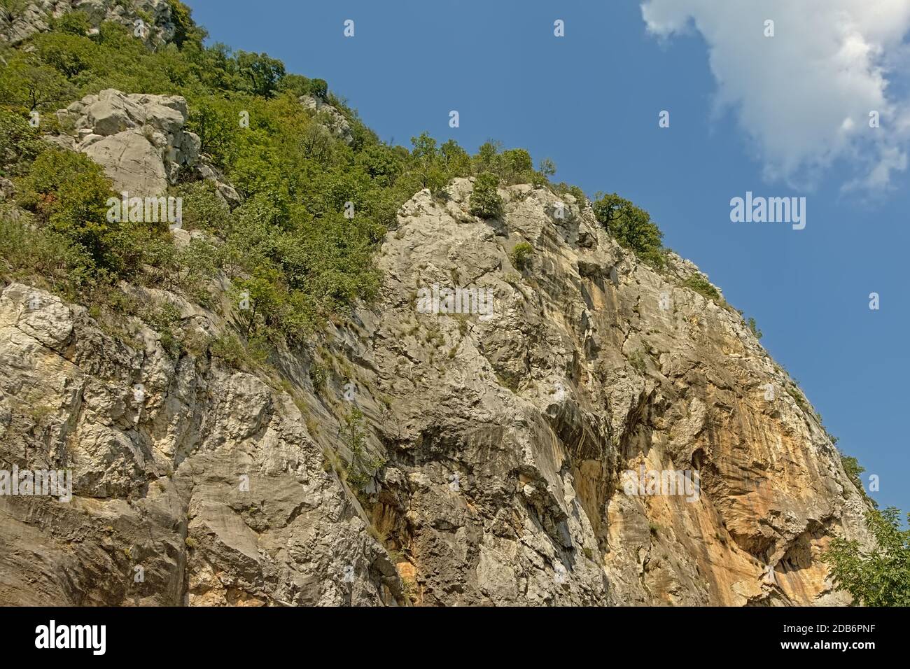 Detail of a Transylvanian mountain ridge with trees Stock Photo - Alamy