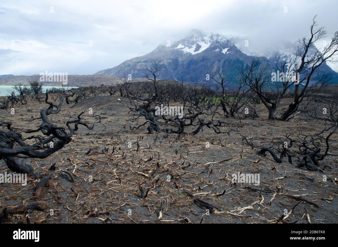 Pehoe lake, Cordillera Paine and burned area in the Torres del Paine ...