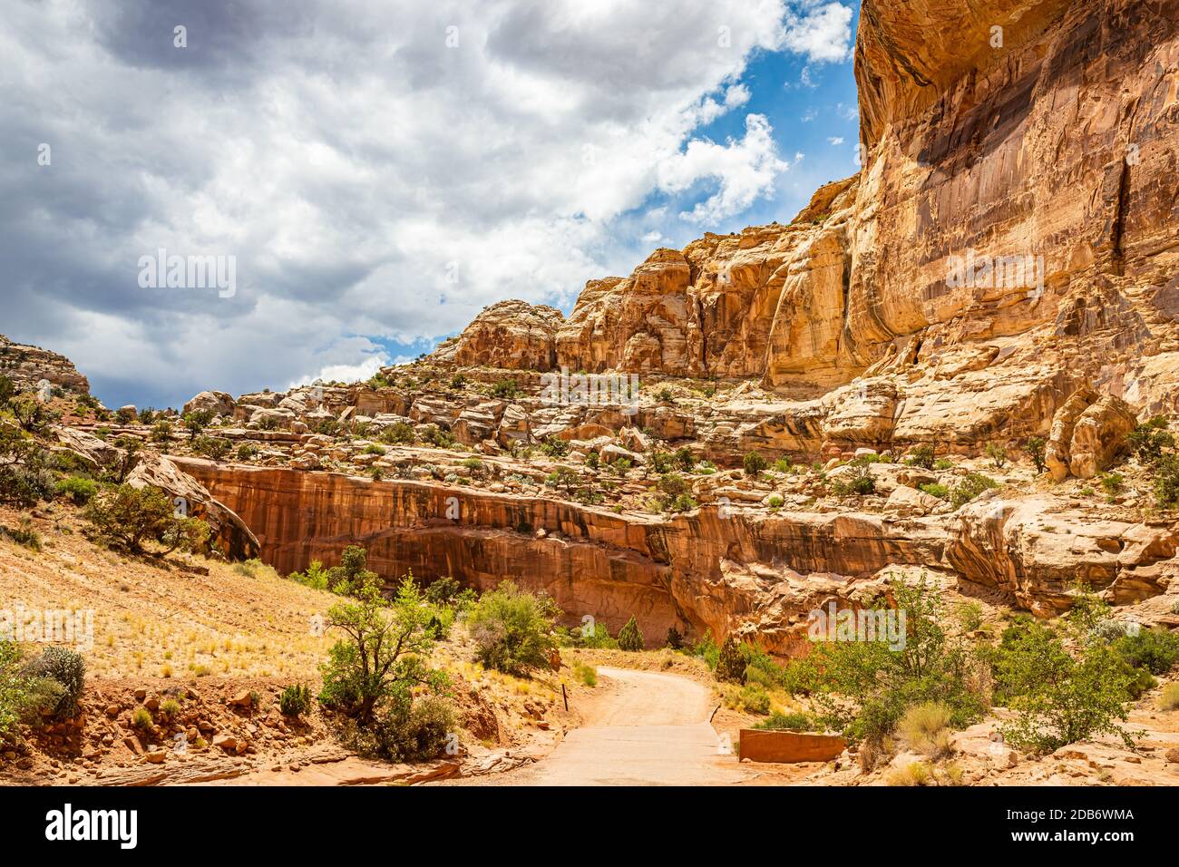 Canyons and eroded sandstone and limestone formations dominate the ...