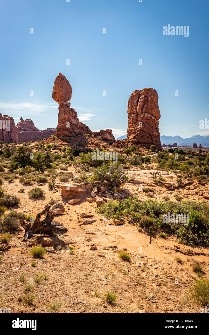 Canyons and eroded sandstone and limestone formations dominate the ...