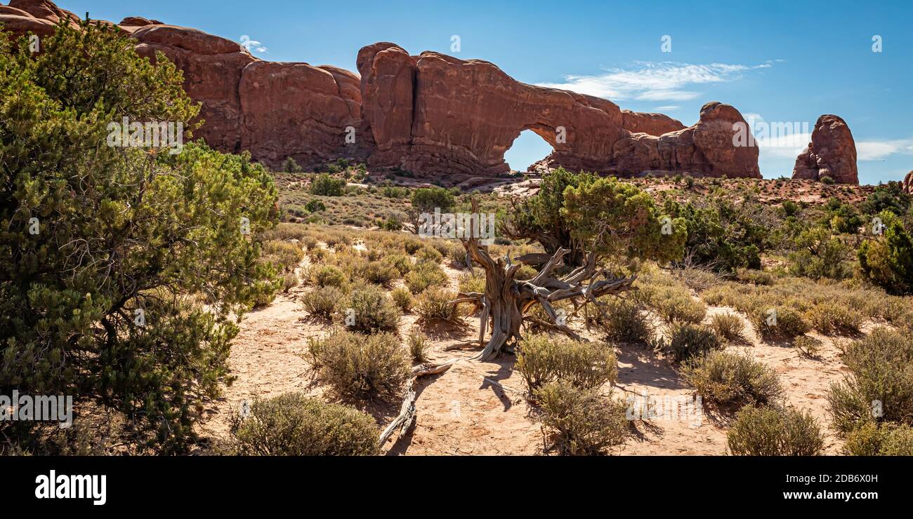 Canyons and eroded sandstone and limestone formations dominate the ...