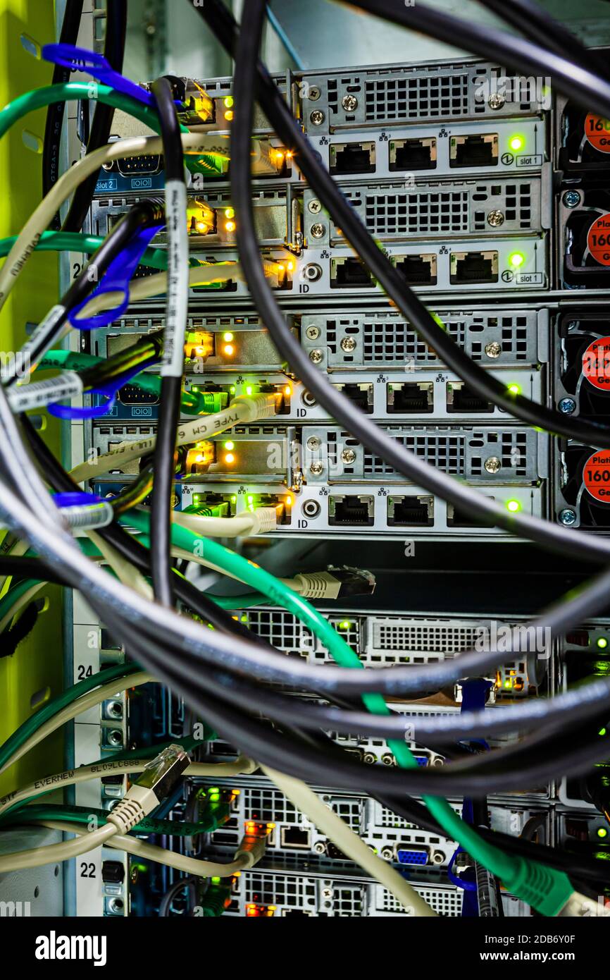 Plug connections and cables on the back of a surfer in the data center ...
