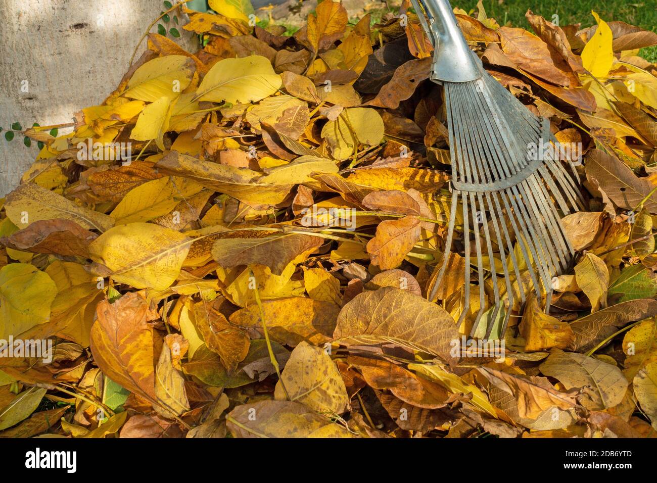 Rake leaves hi-res stock photography and images - Alamy