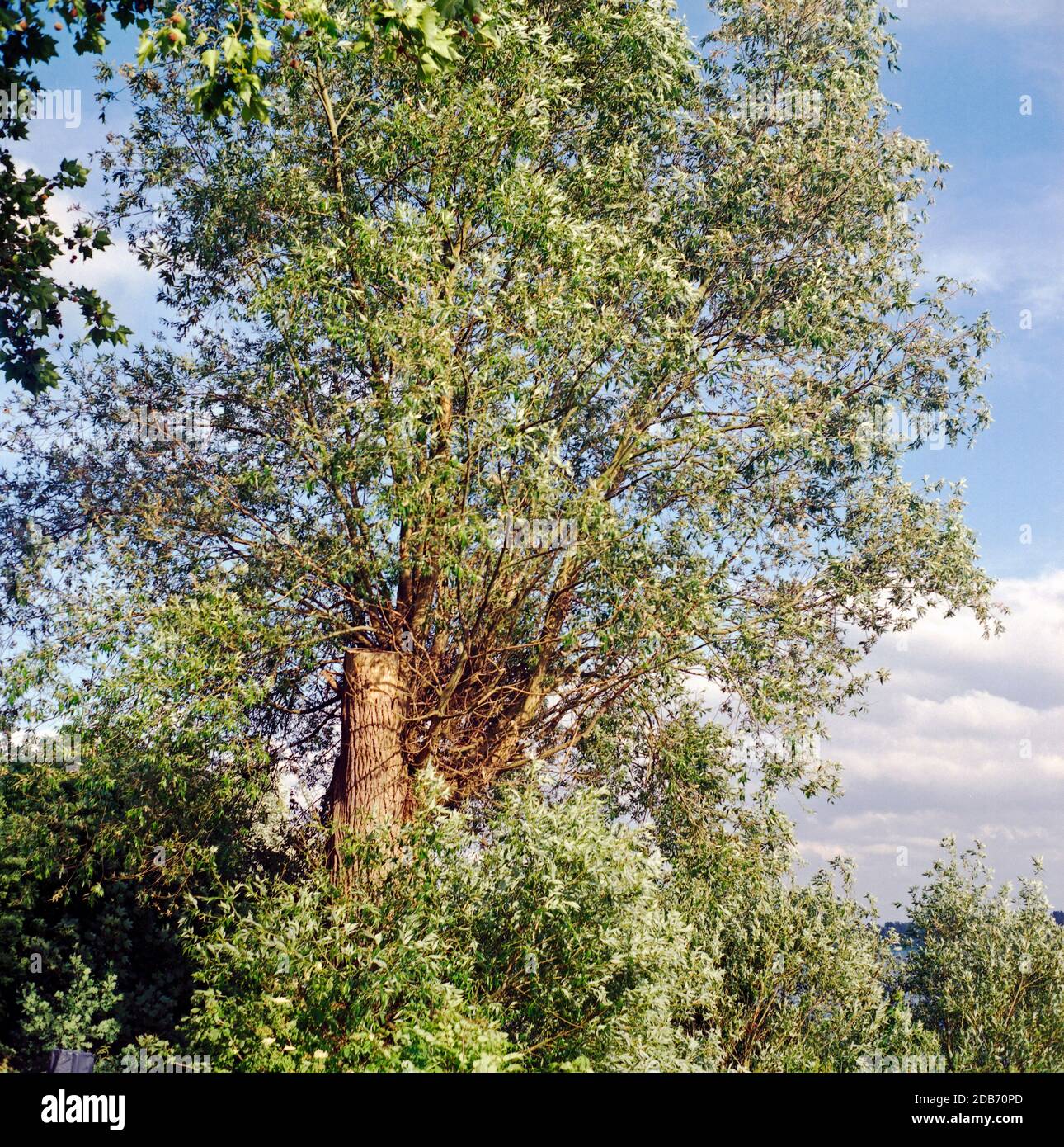 Analog color hi-res stock photography and images - Alamy