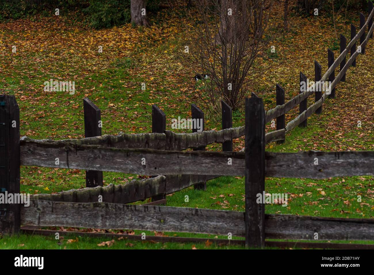 dark horizontal wooden fence with wide boards and a green lawn on which ...