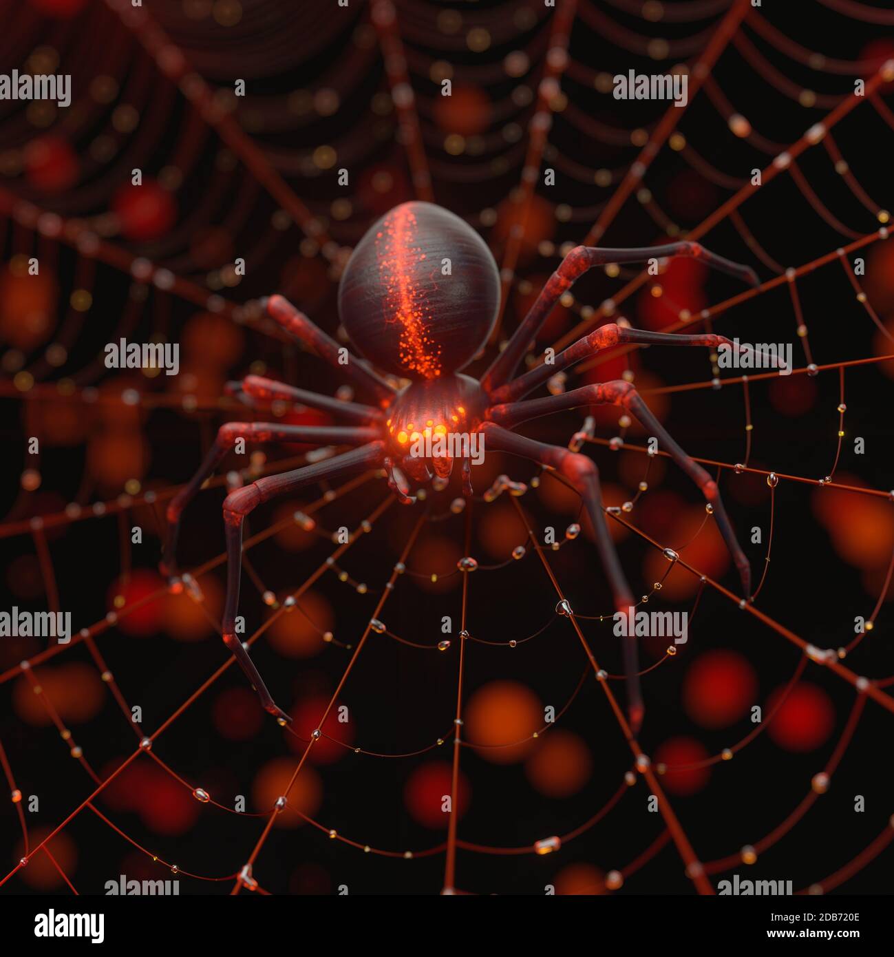 glowing red spider in the dark, waiting on web. suitable for horror ...
