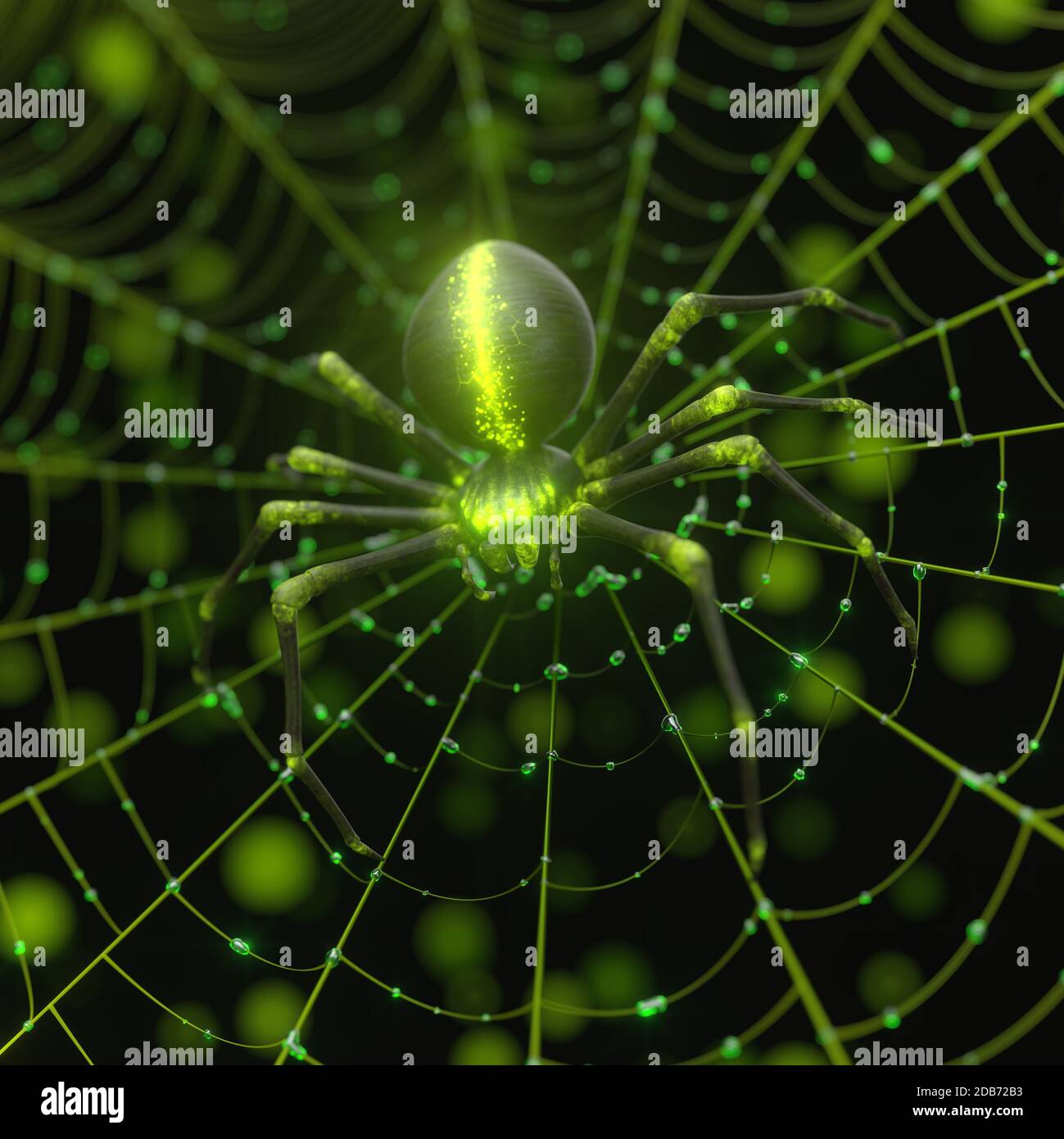 glowing green spider in the dark. waiting on web, suitable for horror ...