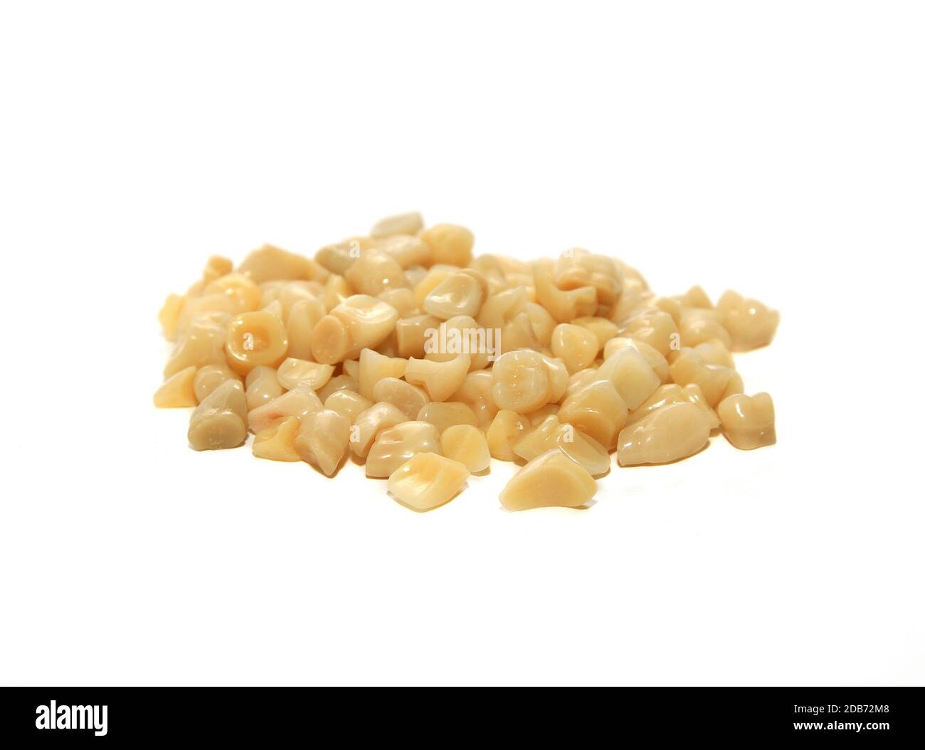 Pile teeth Cut Out Stock Images & Pictures - Alamy
