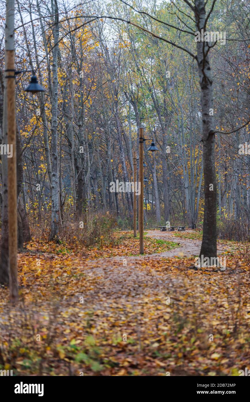 nature trails meander in autumn with leaves falling from nearby tree ...