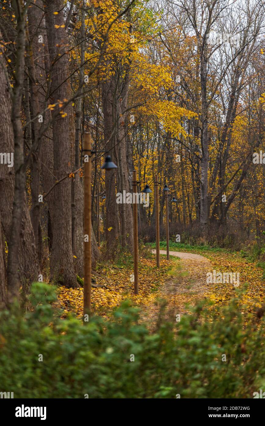 nature trails meander in autumn with leaves falling from nearby tree ...