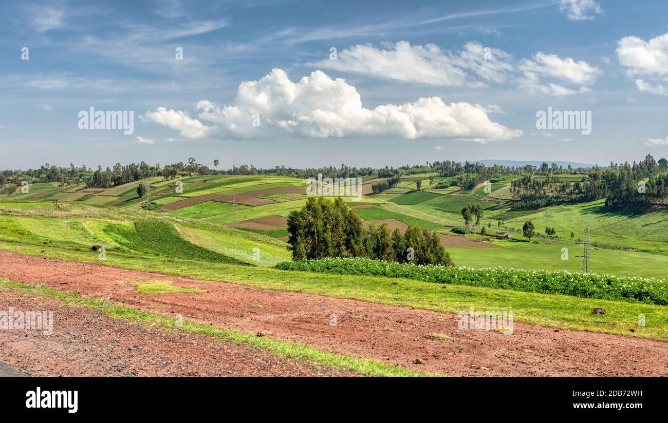 Beautiful mountain landscape with traditional ethiopian terrace fields ...