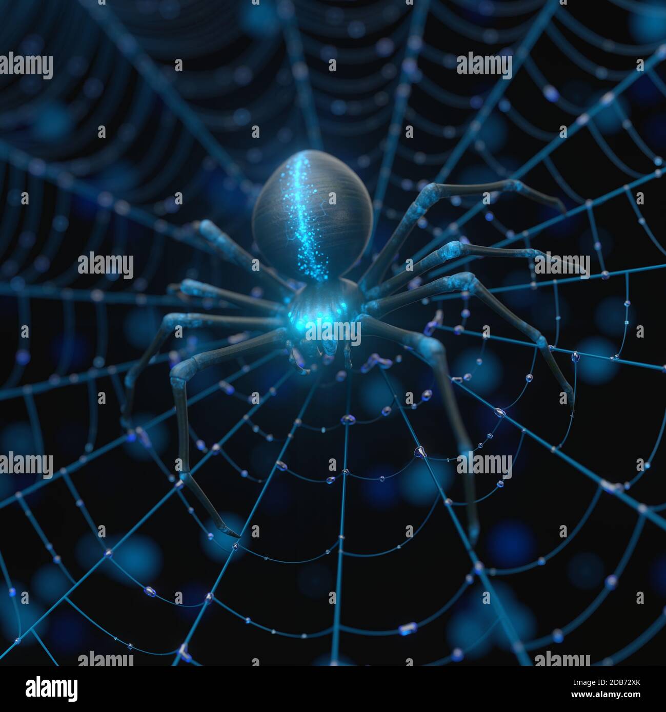 glowing blue spider in the dark. suitable for horror, halloween ...