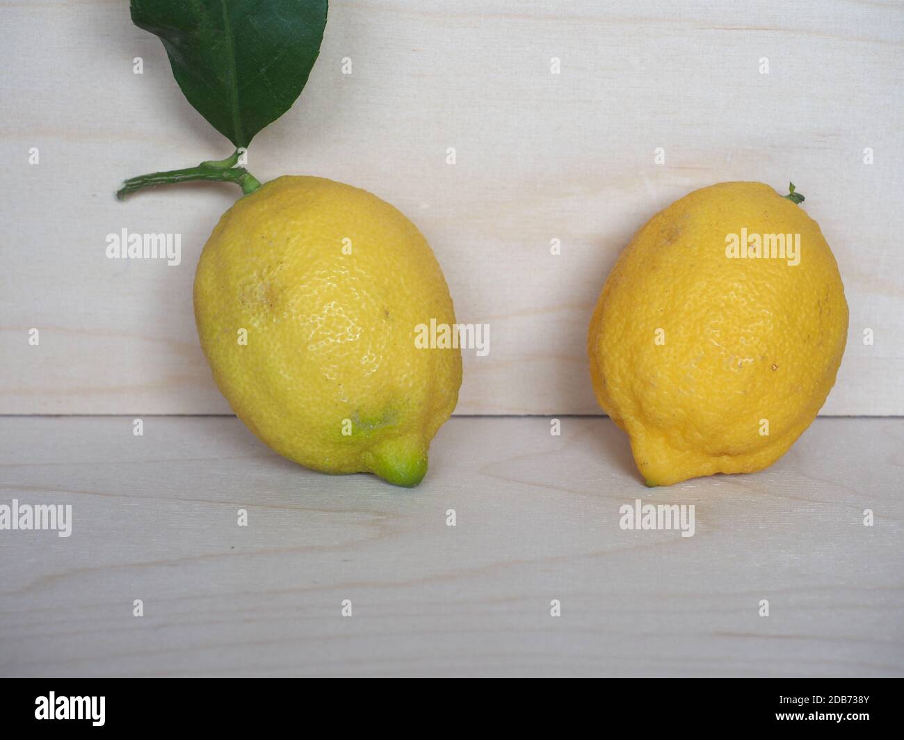 two lemons (Citrus x limon) fruit vegetarian food Stock Photo - Alamy