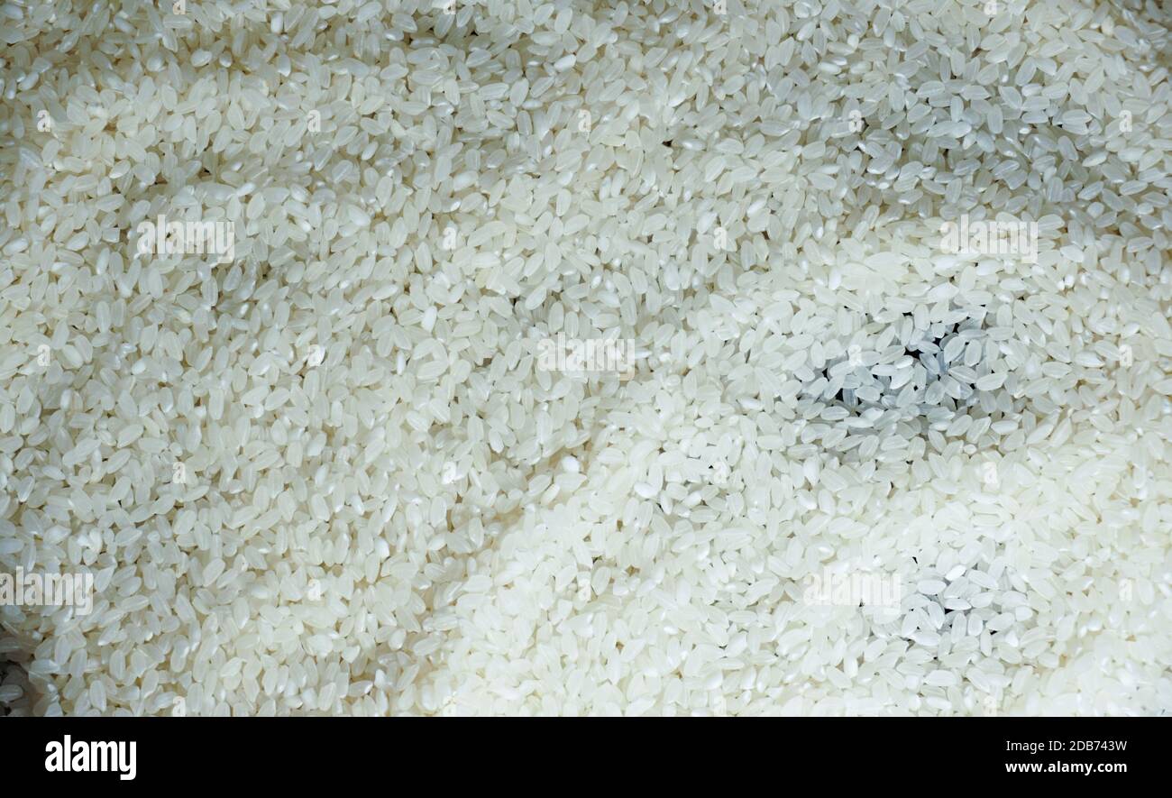 White round grain close up rice full frame background. Indian cuisine ...
