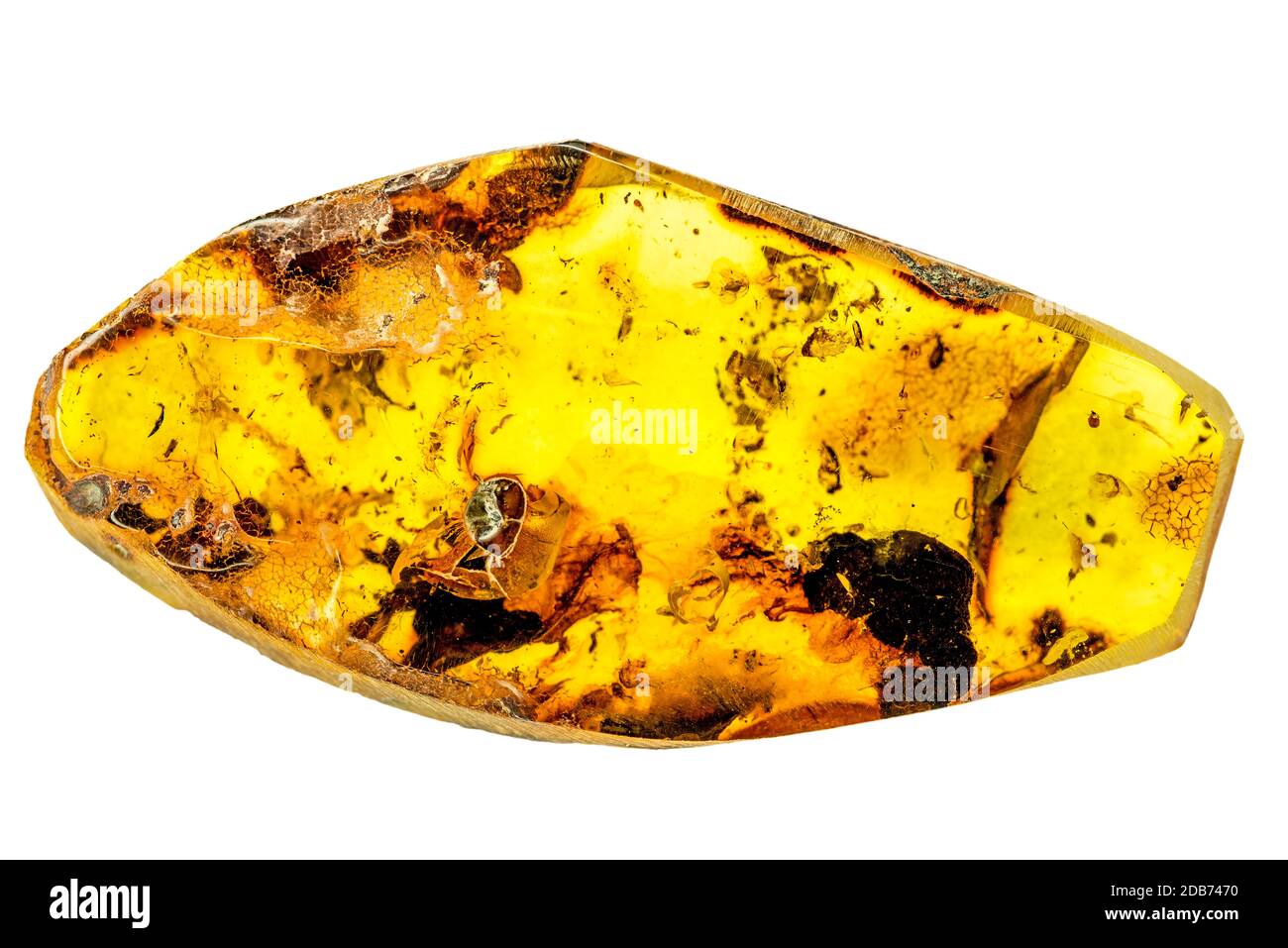 Amber with inclusions in a macro cut out on white background Stock ...