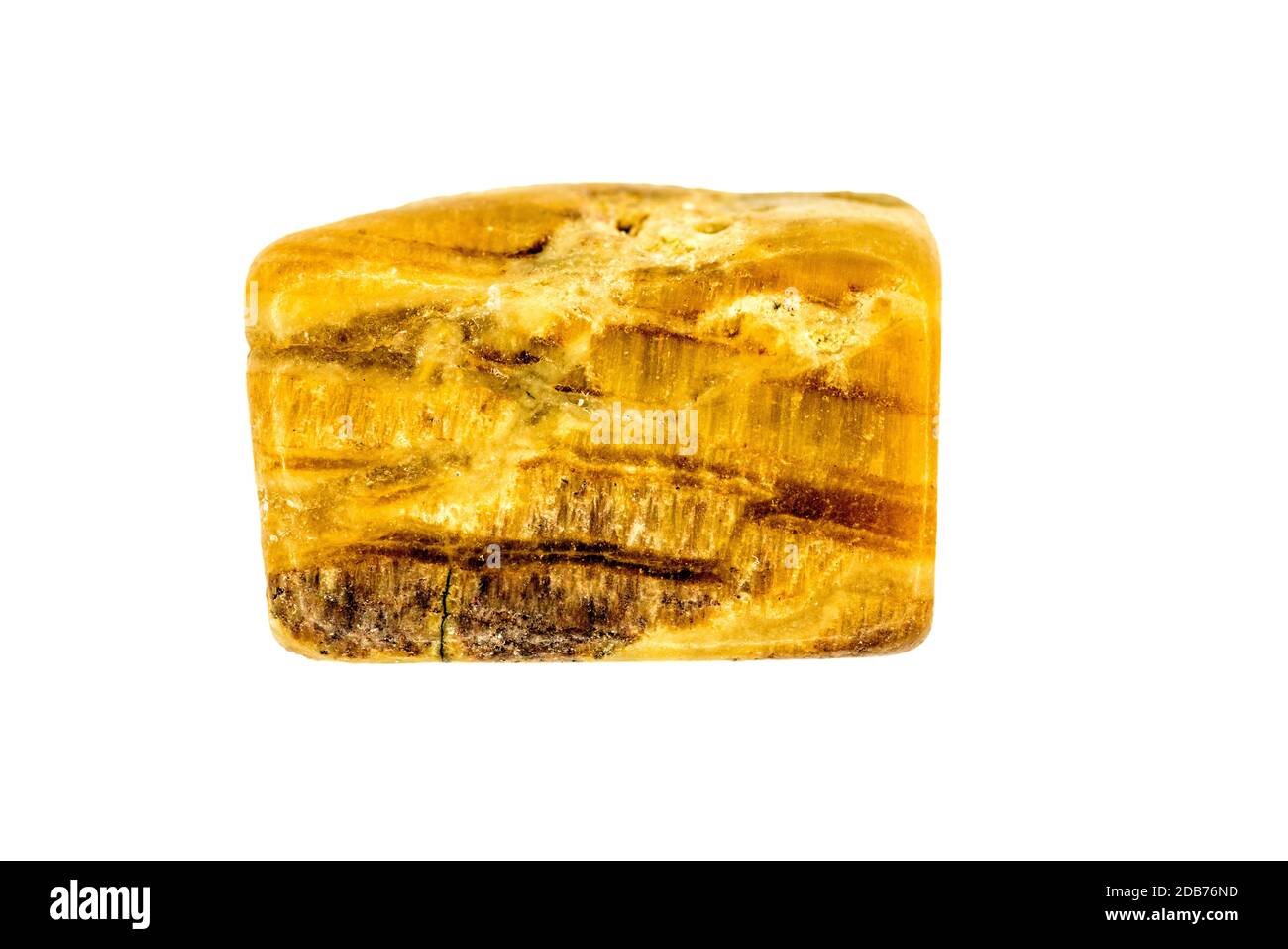 tiger eye cut out on white Stock Photo - Alamy