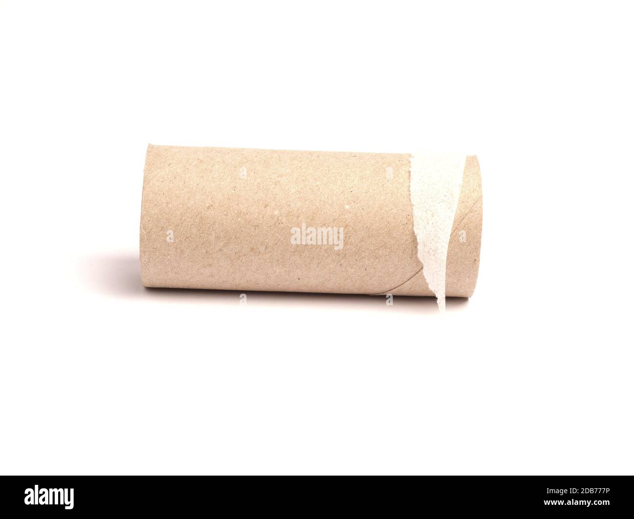Blank roll of toilet paper on a white studio background Stock Photo - Alamy