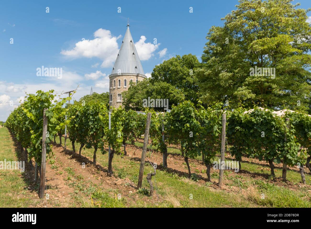Floersheimer tower in the vineyards of the Wicker district Stock Photo ...