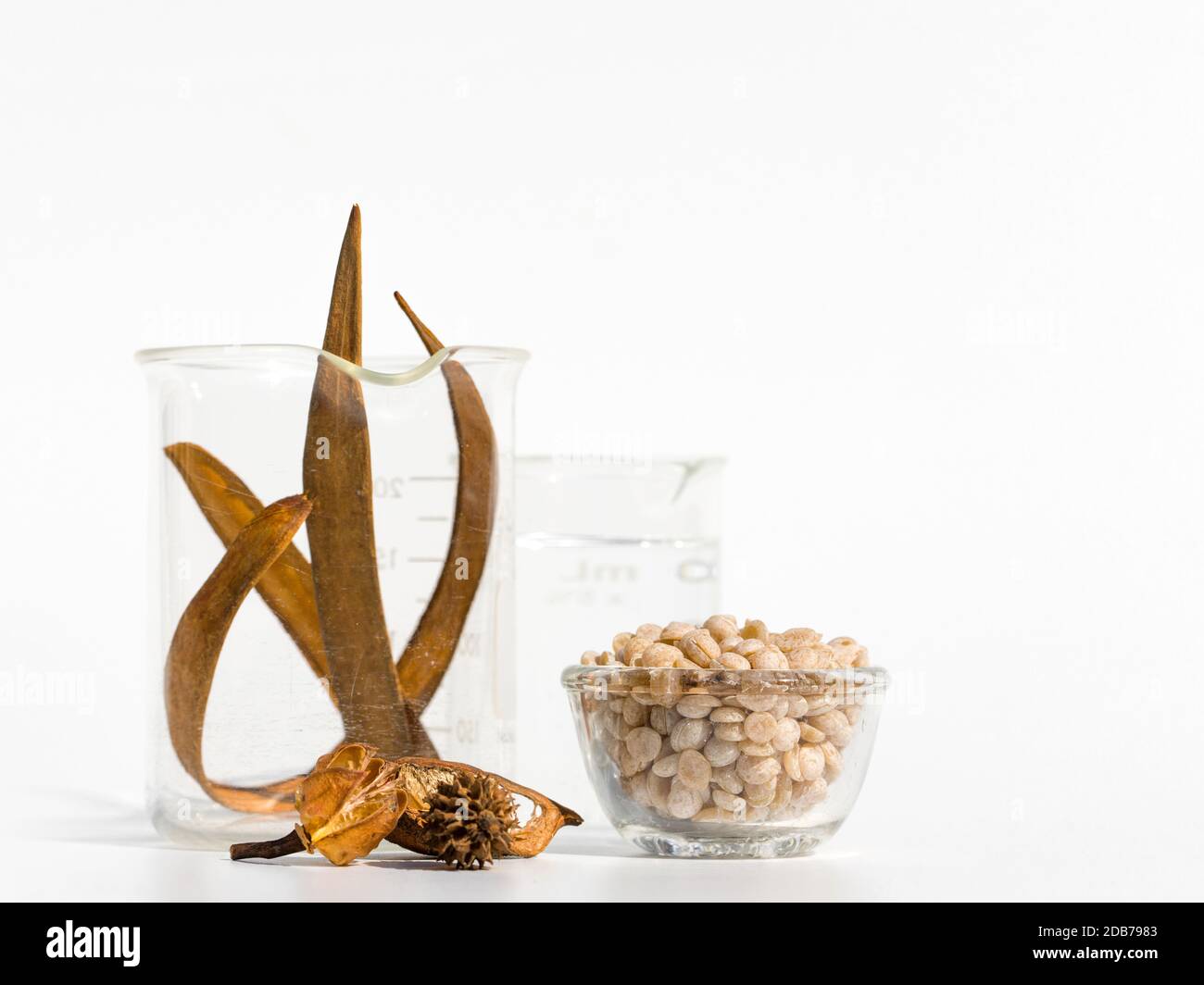 Cosmetic Chemical on glass container. Sumac Wax is a natural, vegetable ...