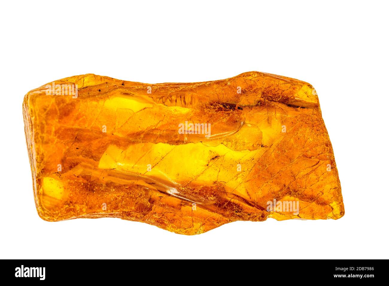 Fossil excavation Cut Out Stock Images & Pictures - Alamy