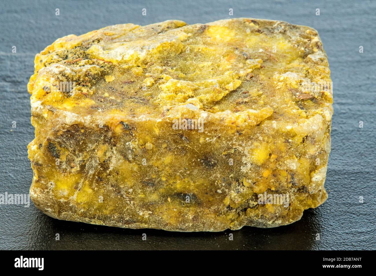 Elemi tree hi-res stock photography and images - Alamy