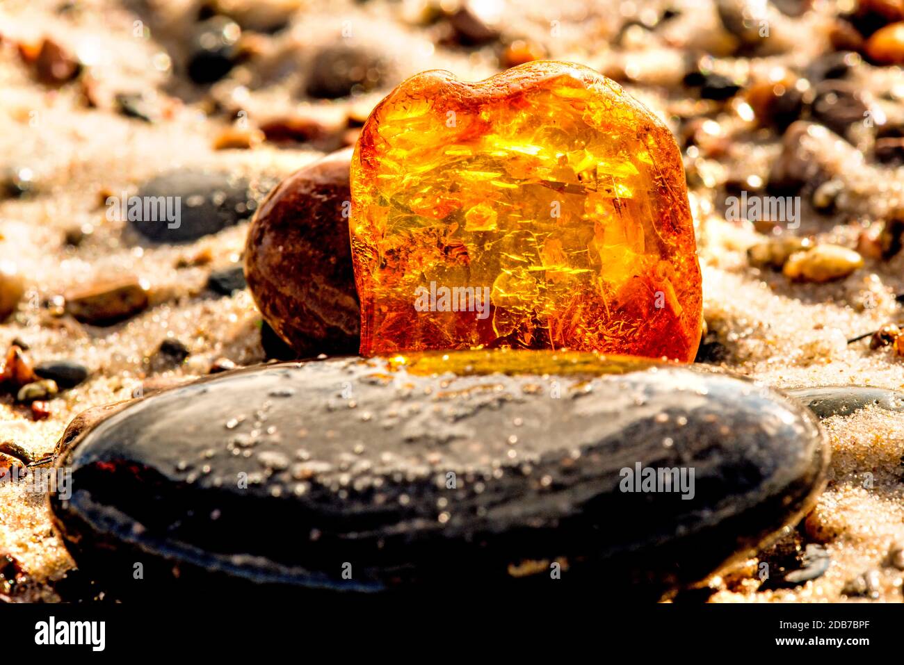 Amber on a beach of the Baltic Sea Stock Photo - Alamy
