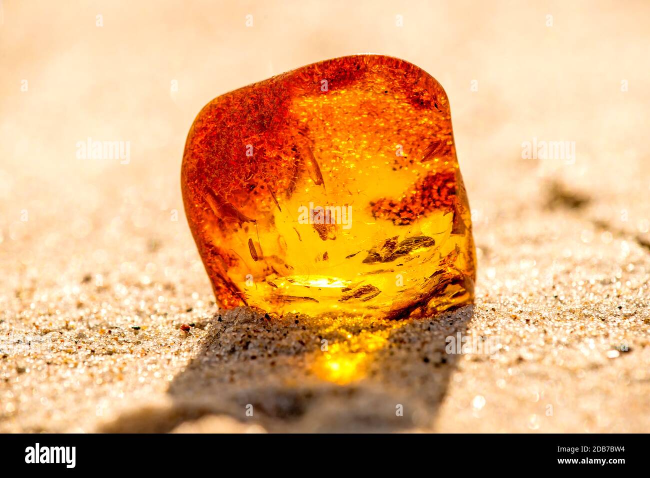 Amber on a beach of the Baltic Sea Stock Photo - Alamy