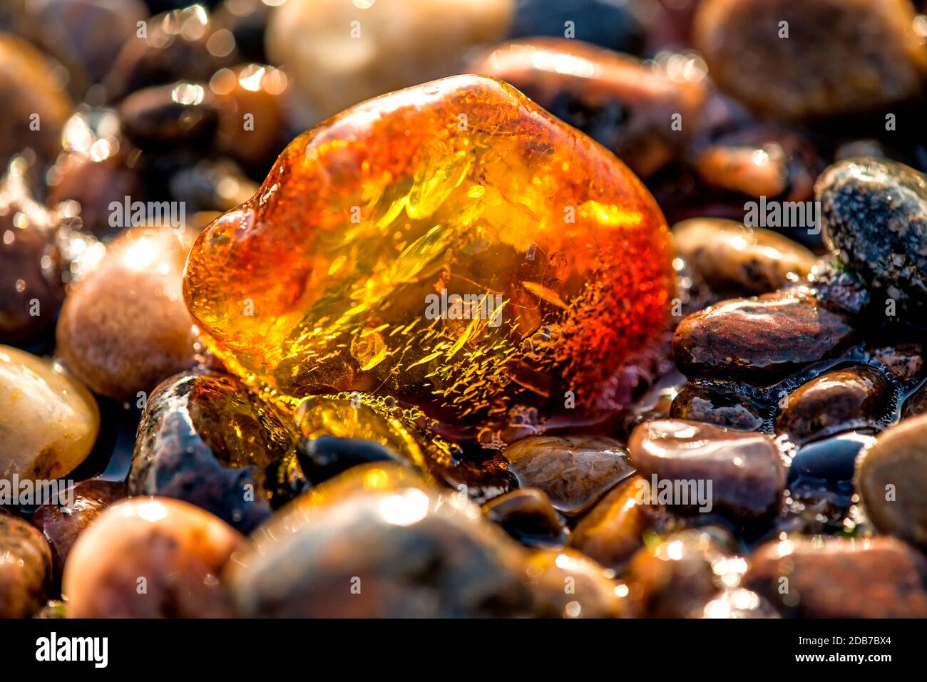 Amber on a beach of the Baltic Sea Stock Photo - Alamy
