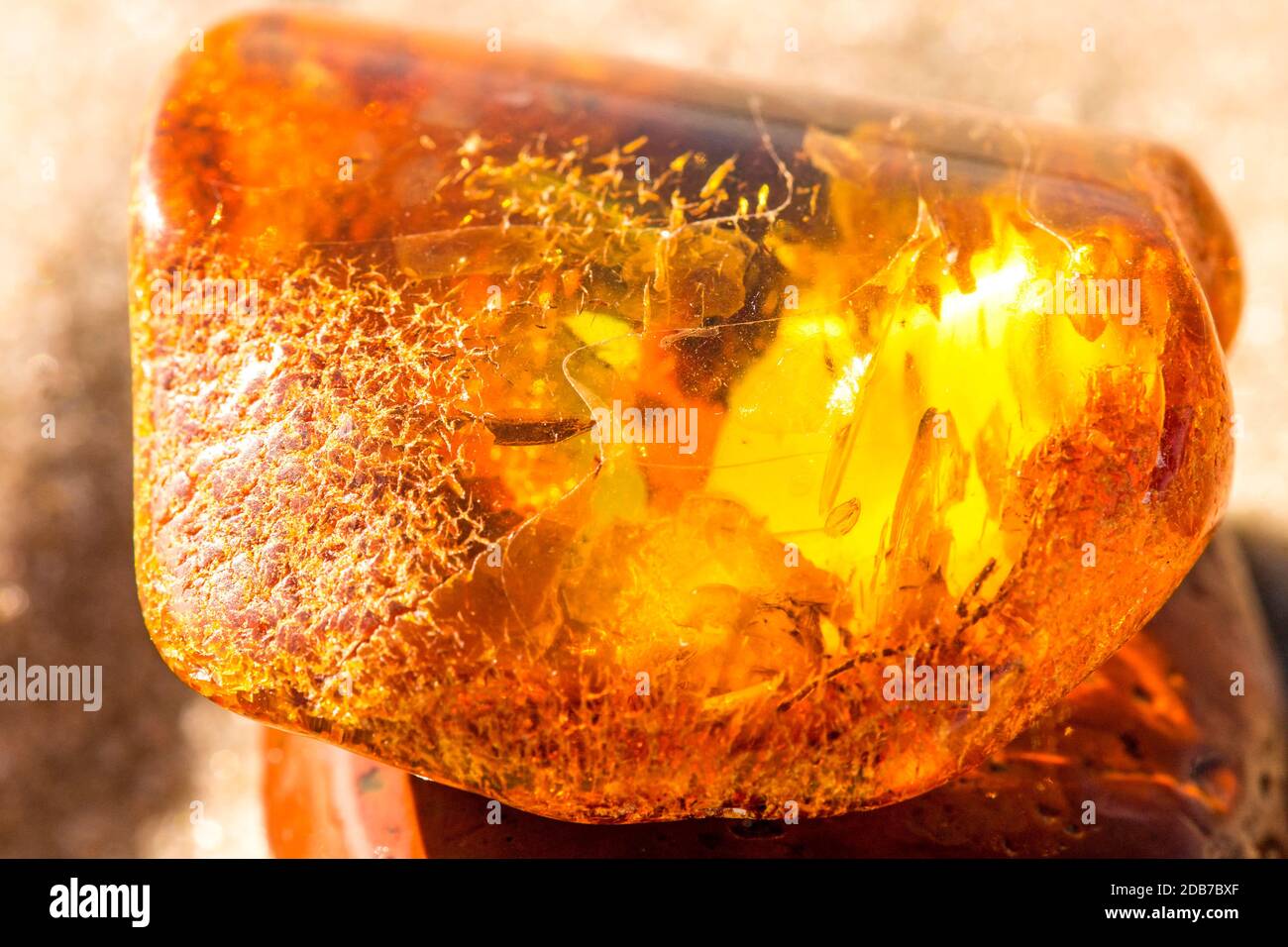 Amber on a beach of the Baltic Sea Stock Photo - Alamy
