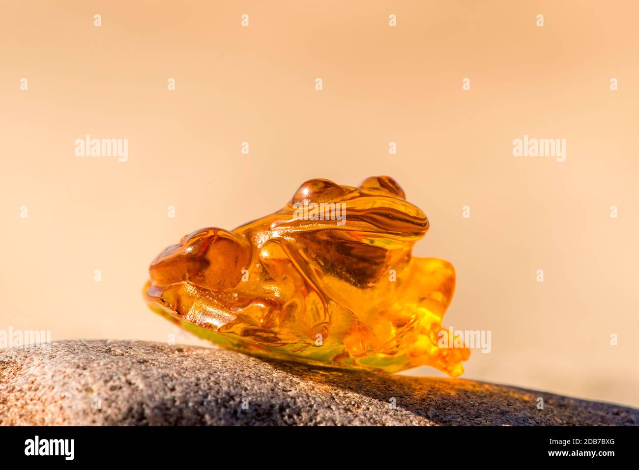 Amber frog on a beach of the Baltic Sea Stock Photo - Alamy