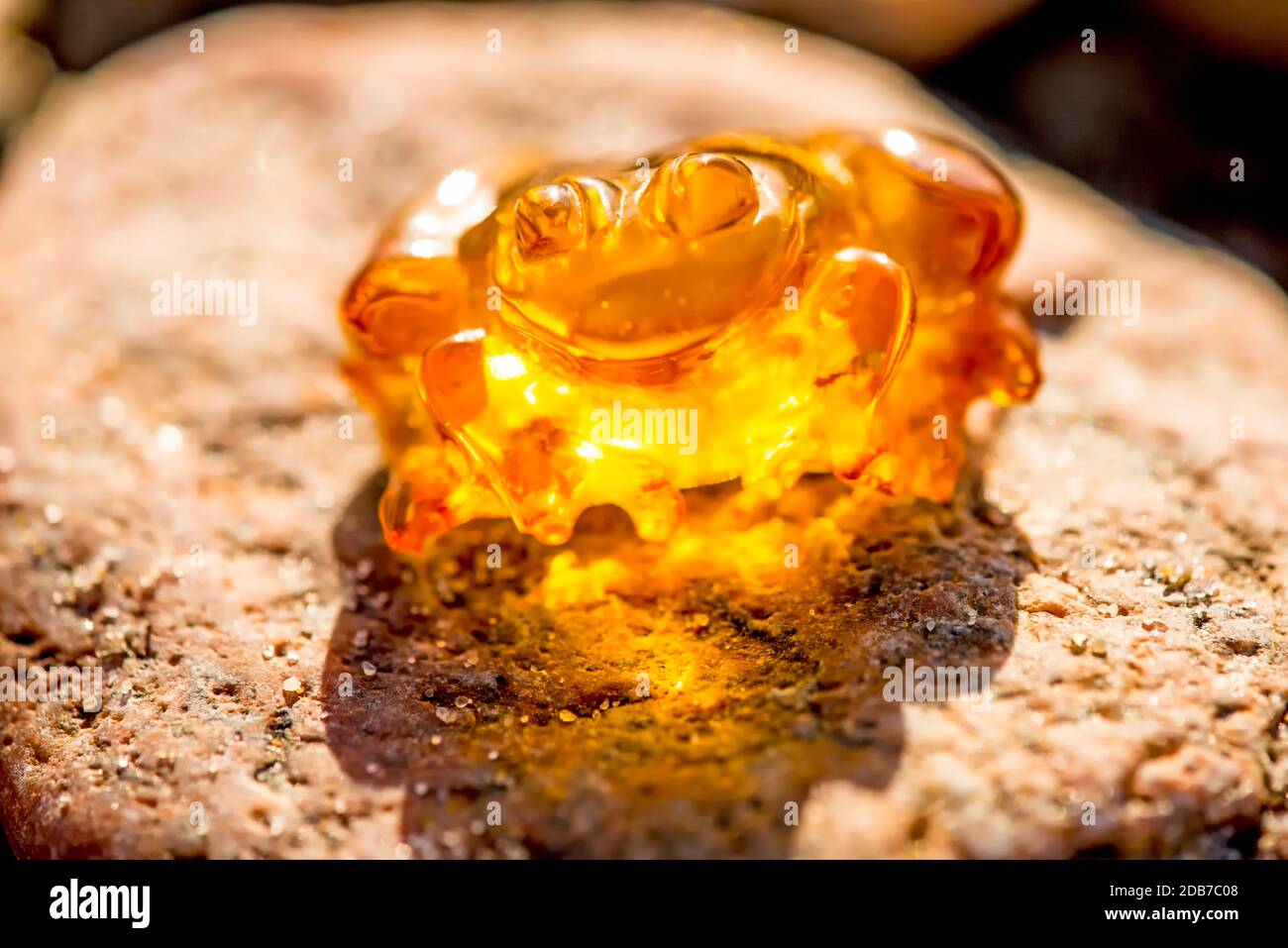 Amber frog on a beach of the Baltic Sea Stock Photo - Alamy