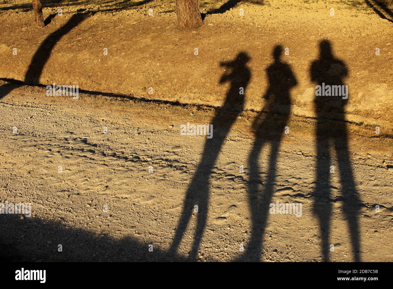 Threesome of photographer Stock Photo - Alamy