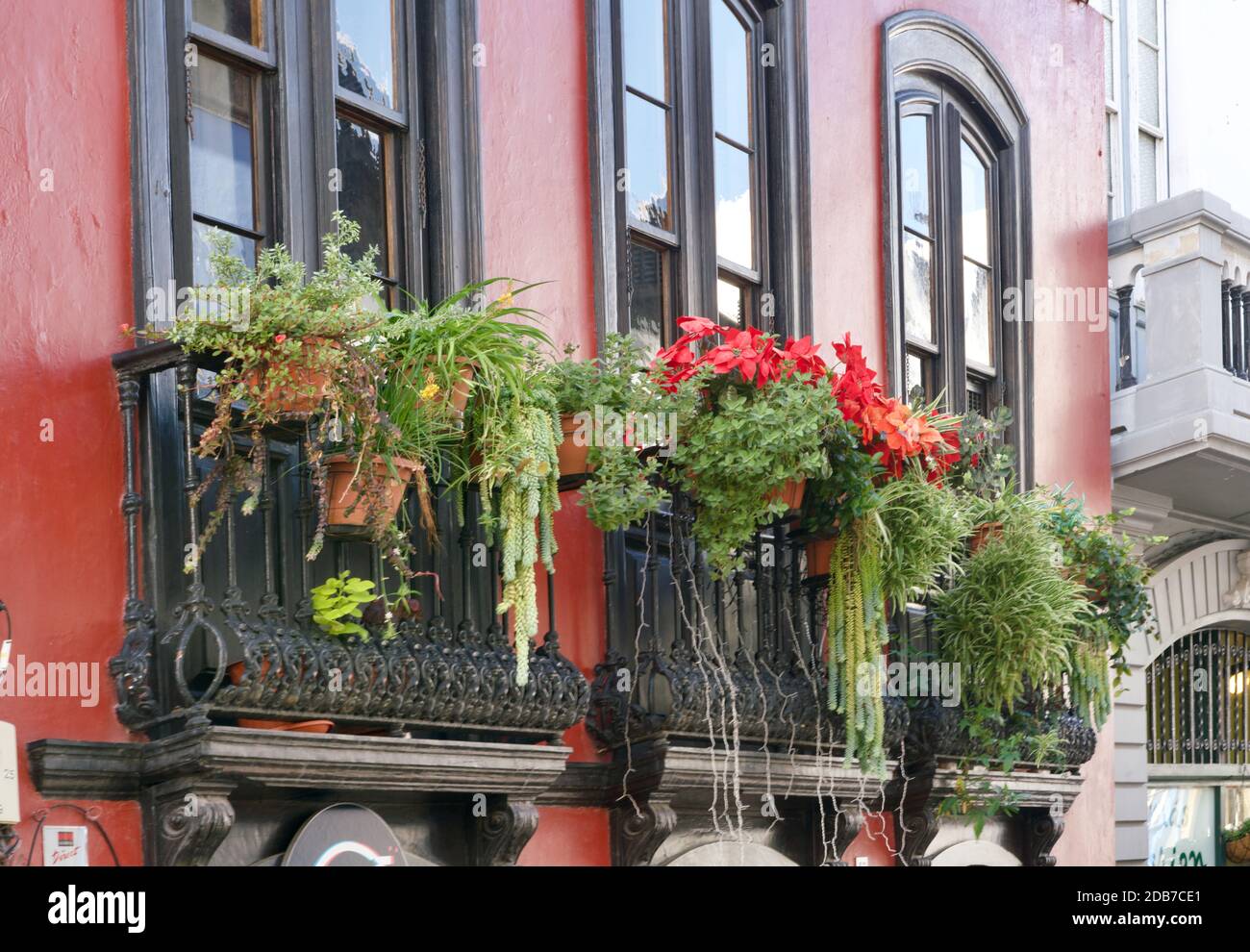Famous flowered balconies of Santa Cruz de La Palma Stock Photo - Alamy