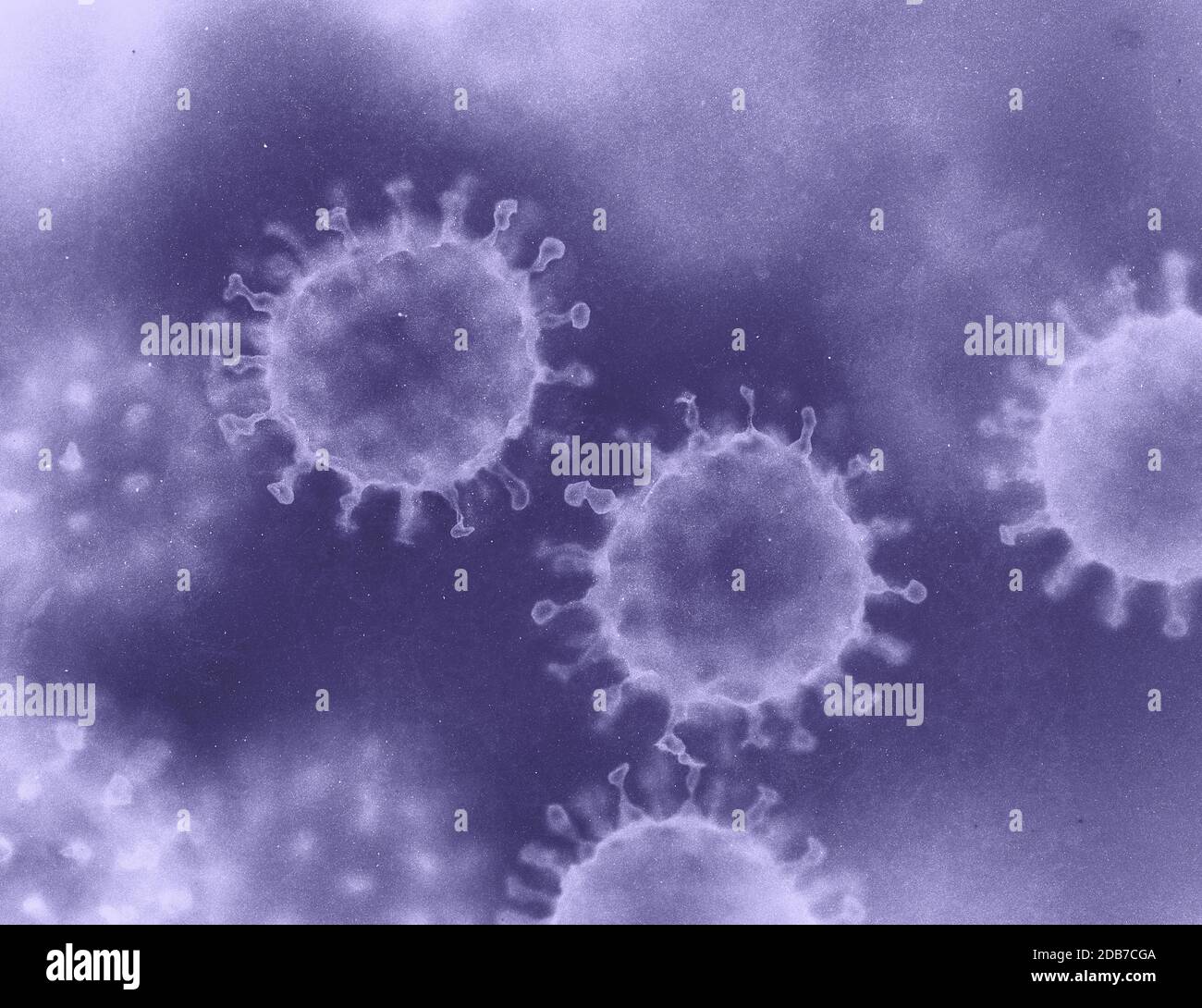 Viral structure. Viral particle is made up of a nucleus of nucleic acid ...
