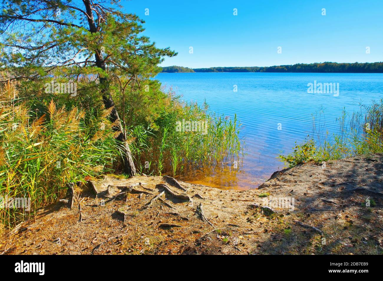Cottbus senftenberg hi-res stock photography and images - Alamy