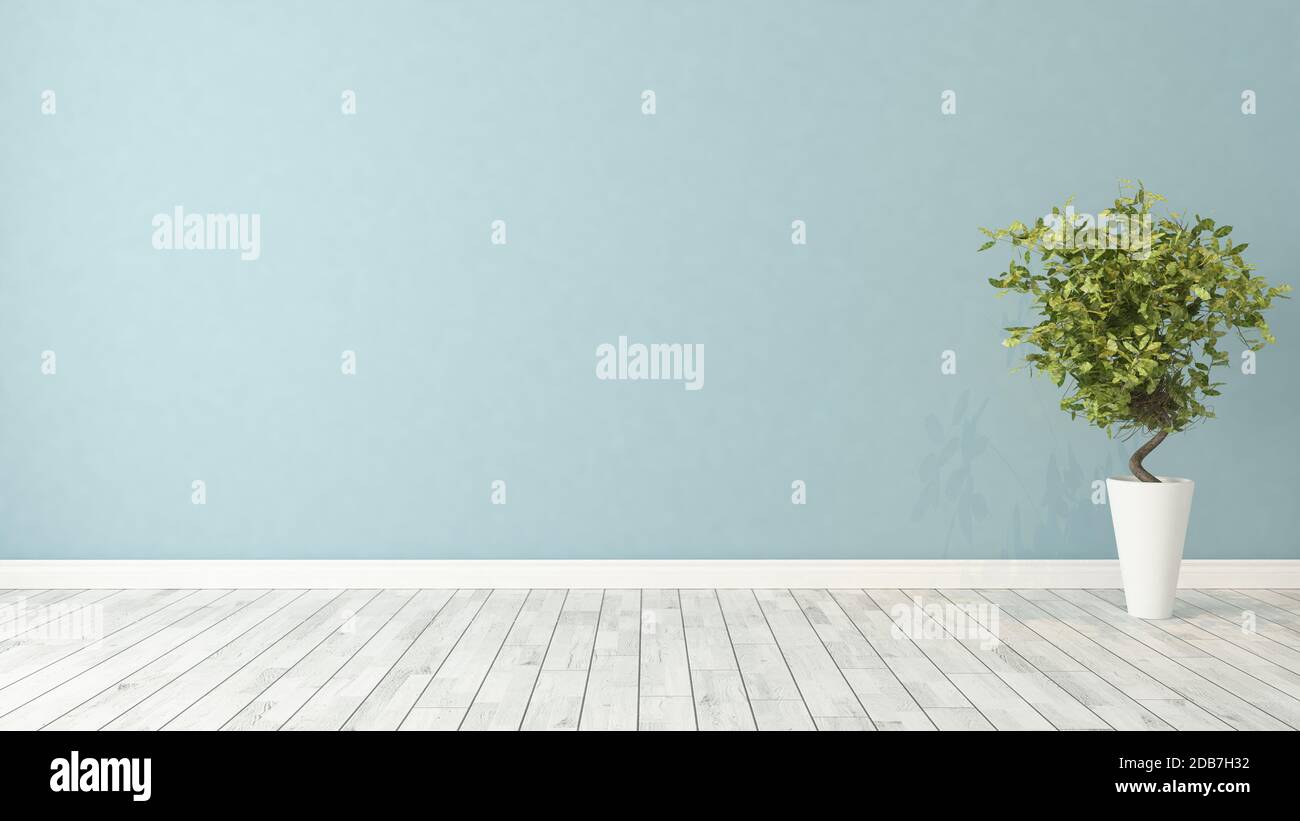 blue wall empty room with green plant in vase 3d rendering Stock Photo ...