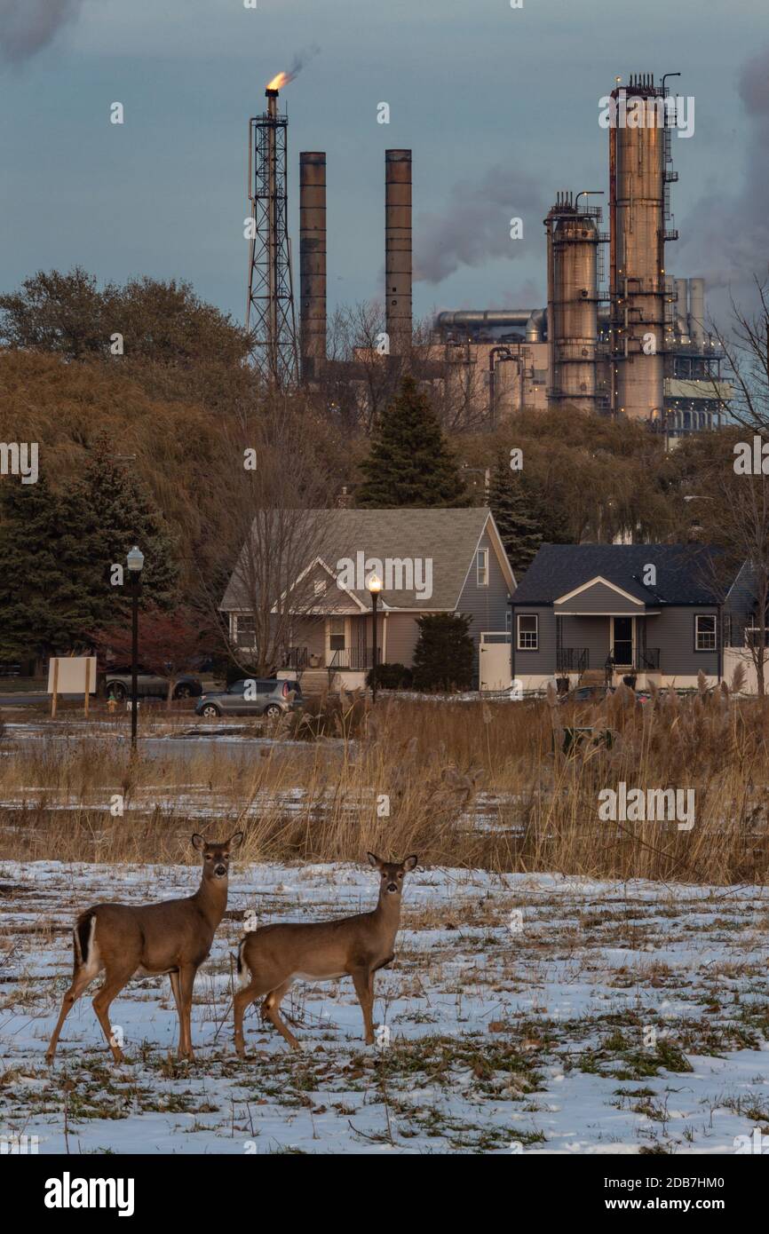 Bp oil refinery hi-res stock photography and images - Alamy