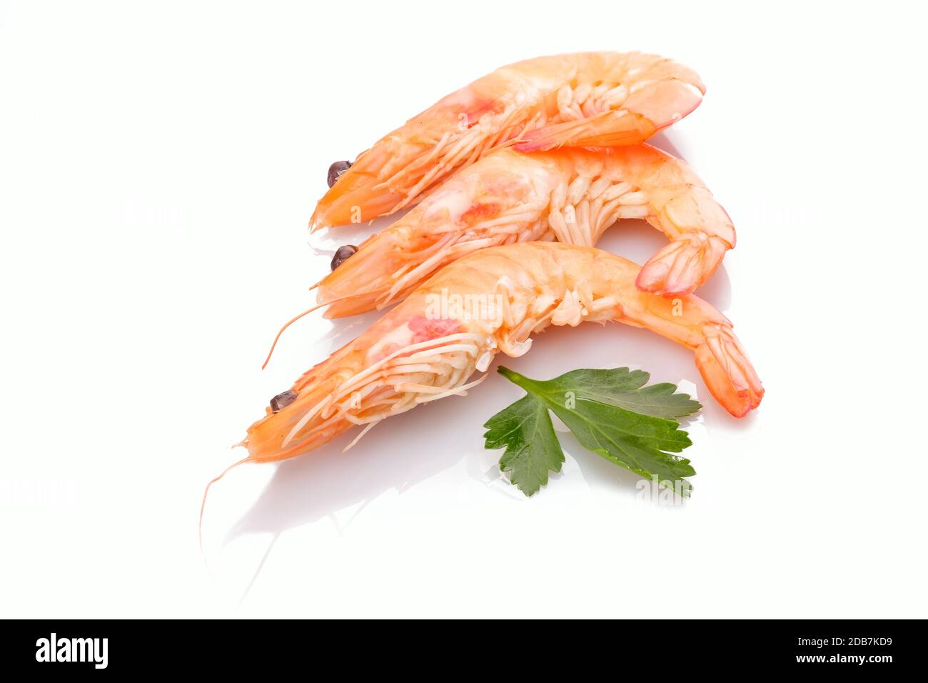 Crevettes prawns orange white isolated Stock Photo - Alamy