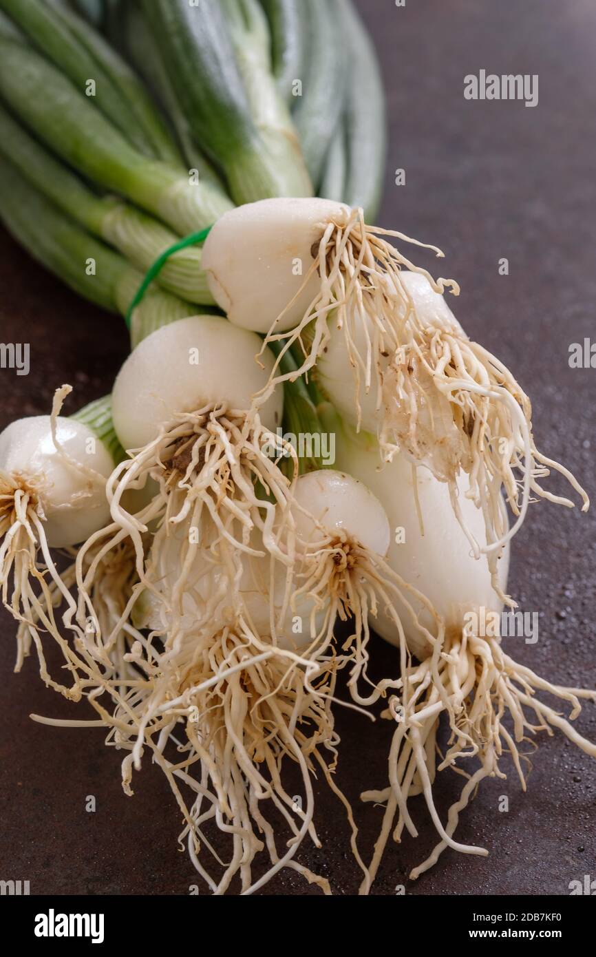 Close-up scallions onions in vertical format Stock Photo - Alamy