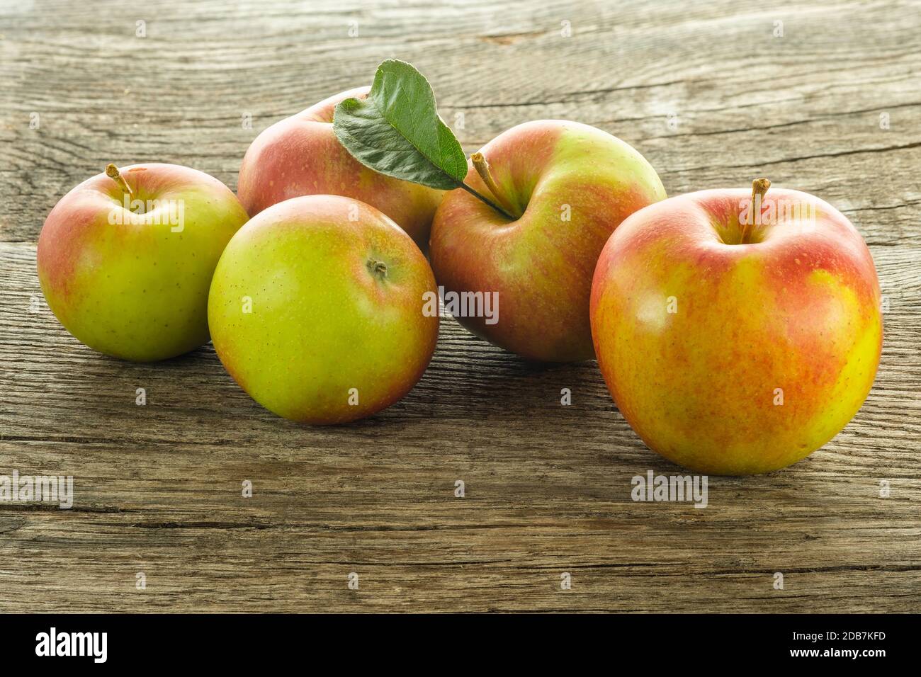 Wellant apples hi-res stock photography and images - Alamy