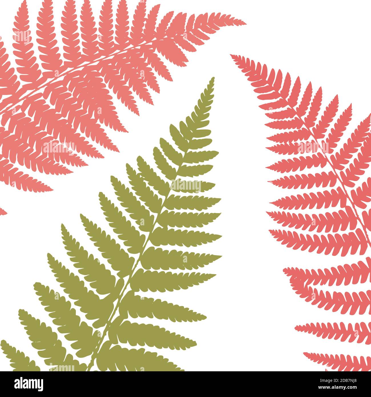Fern leaf background. Tropical botanical card. Vector illustration ...