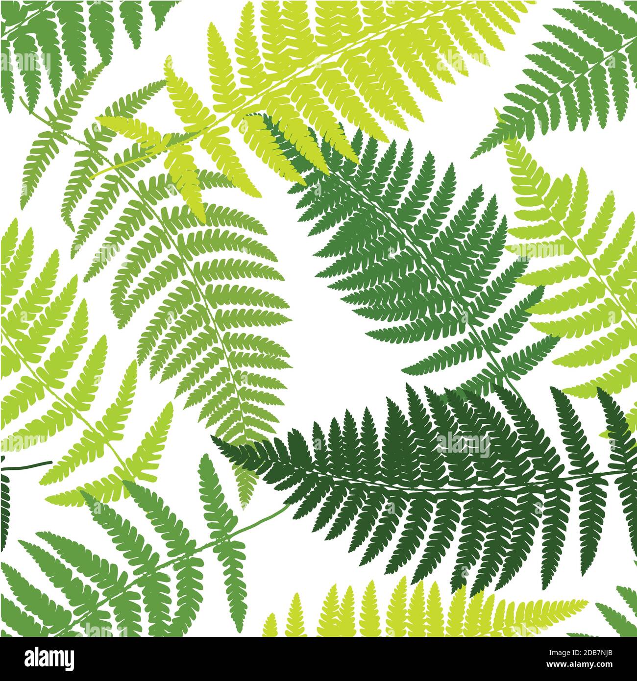Fern tropical seamless pattern. Vector illustration Stock Photo - Alamy