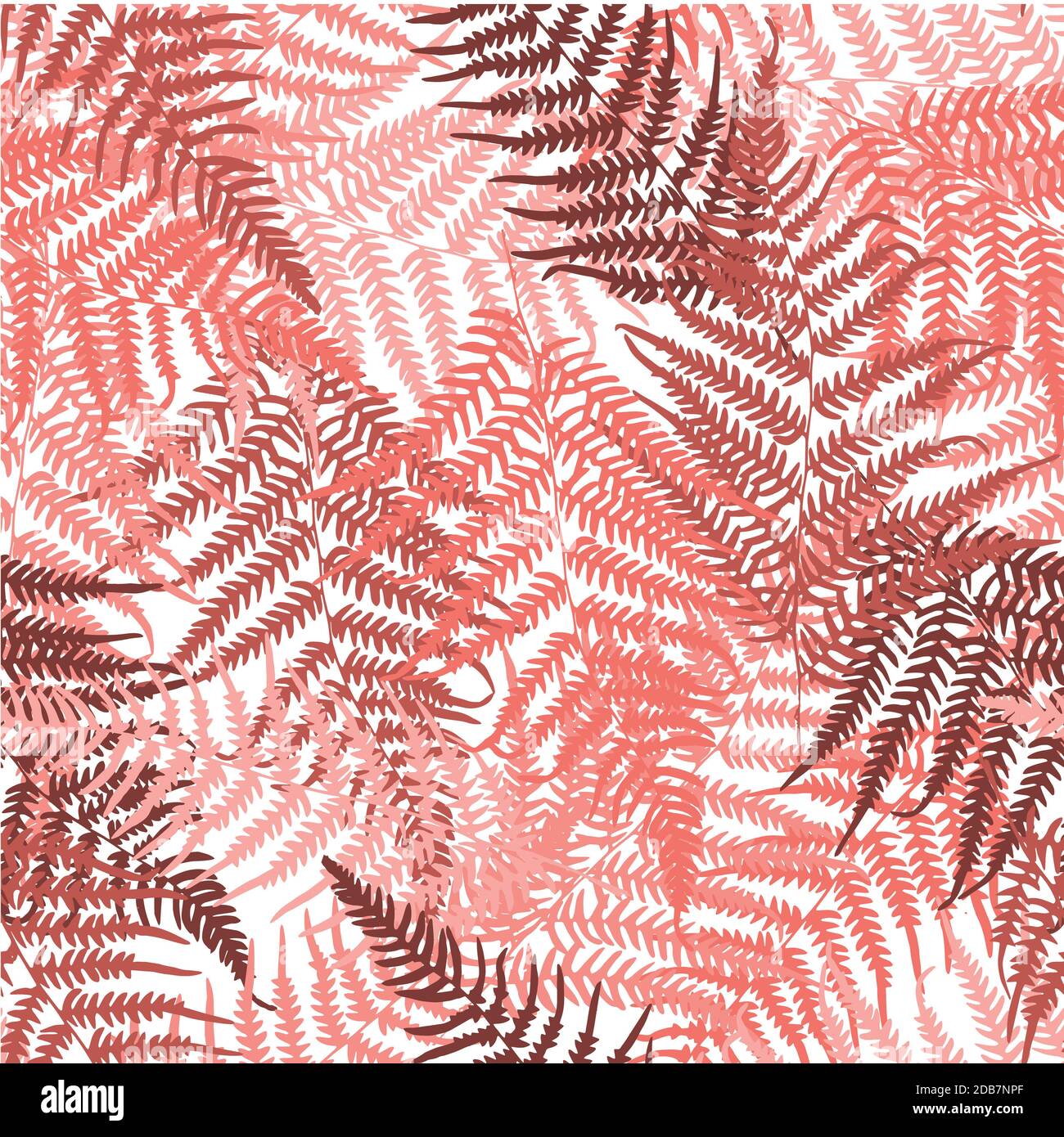 Fern tropical seamless pattern. Vector illustration Stock Photo - Alamy