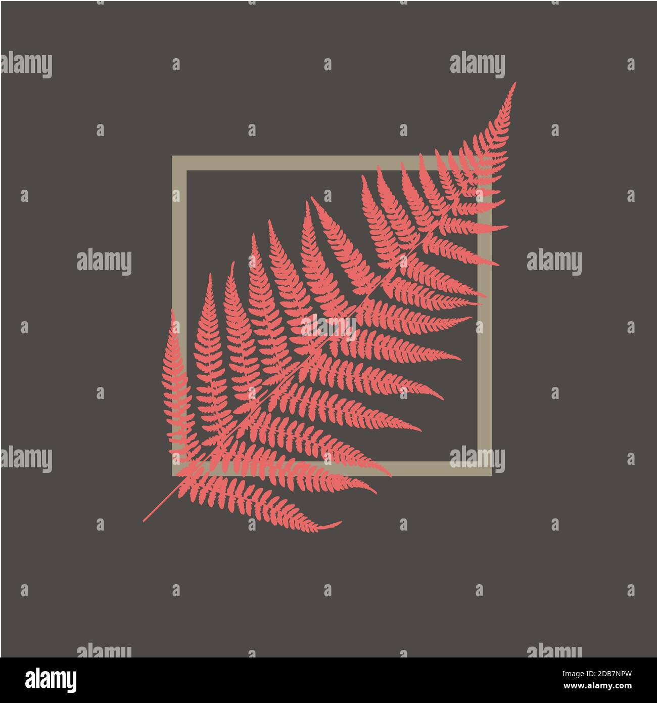 Fern leaf background. Tropical botanical card. Vector illustration ...